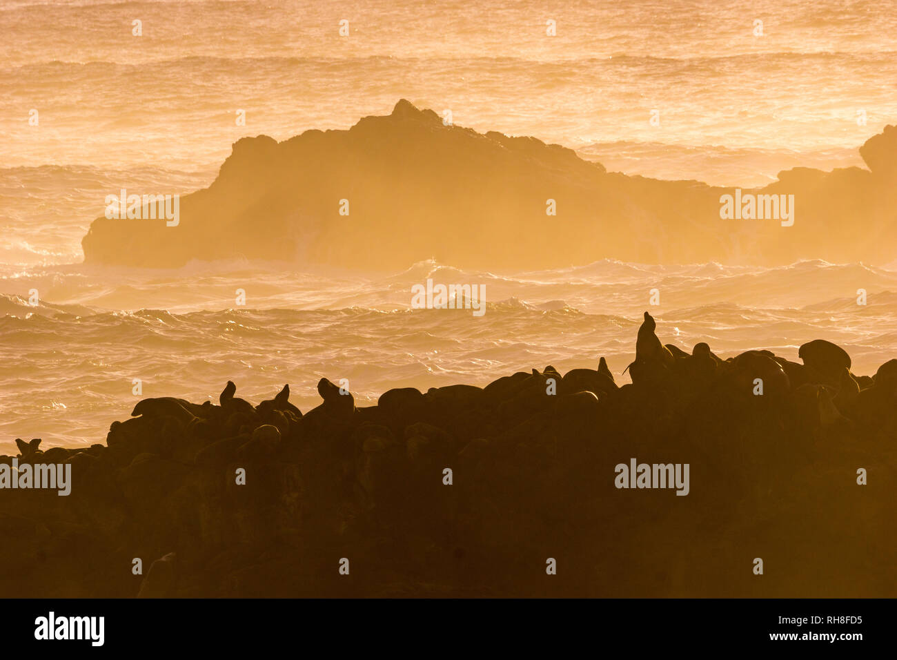 Lobo point hi-res stock photography and images - Alamy