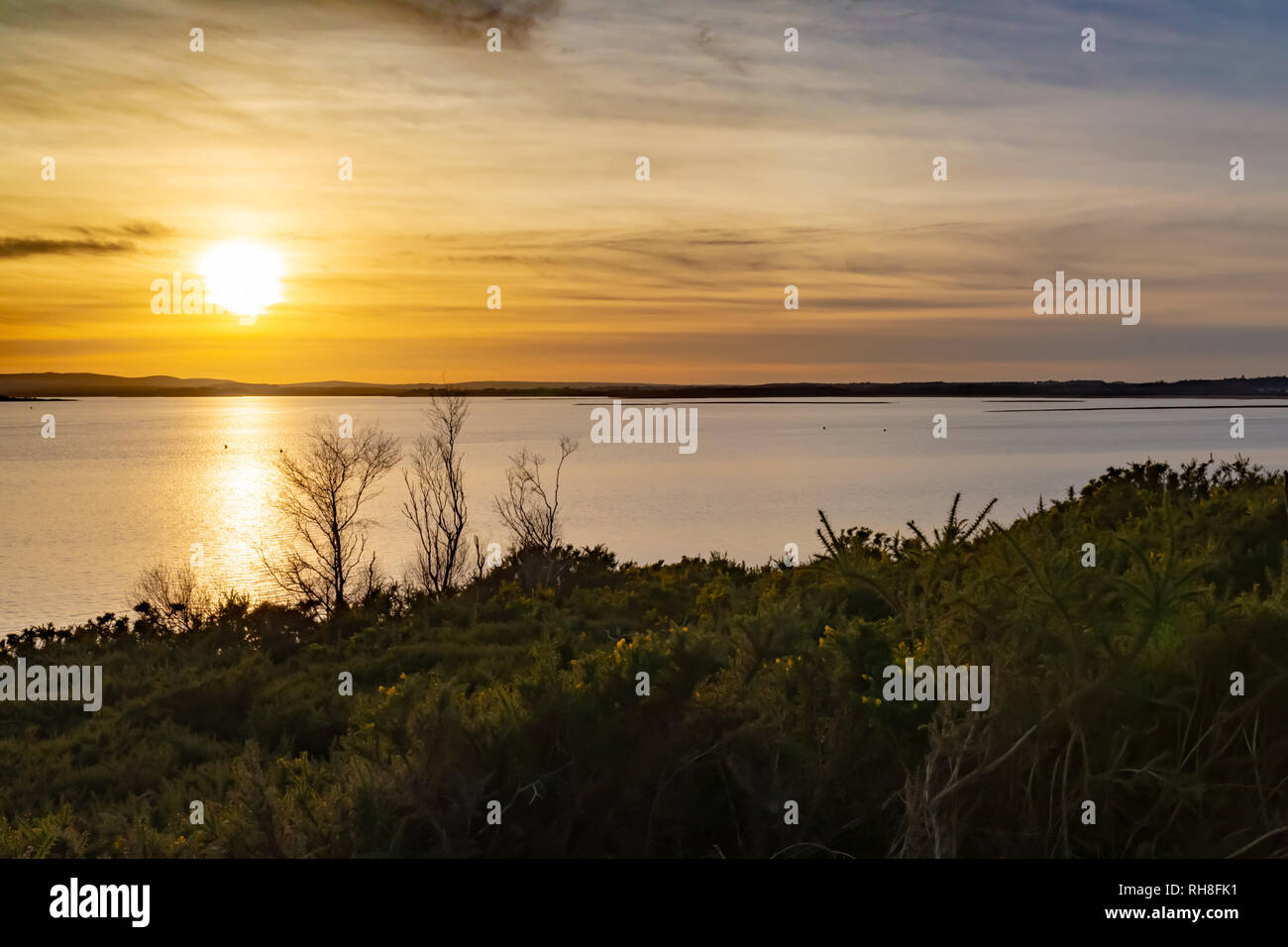 Ham common lake hi-res stock photography and images - Alamy