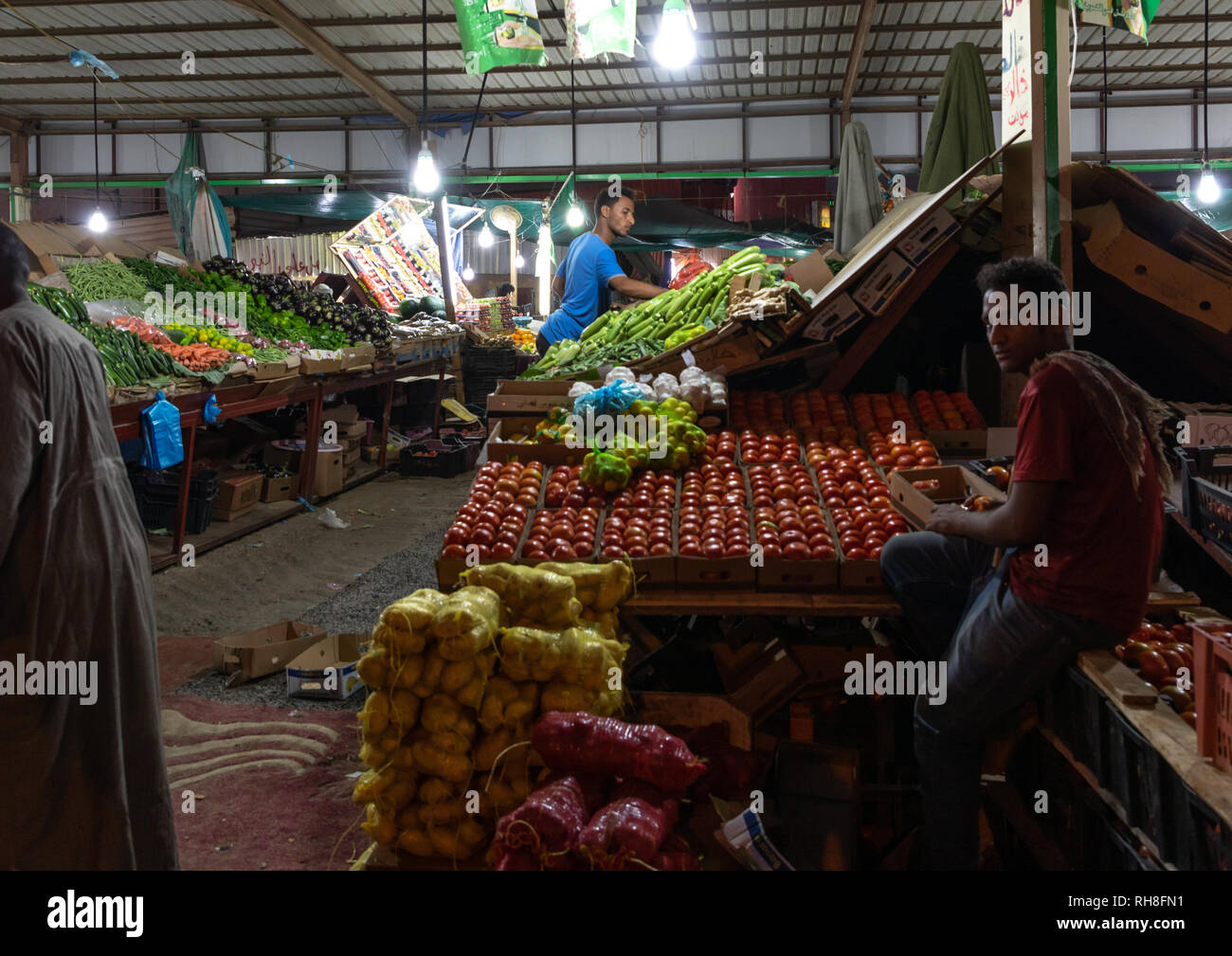 Saudi tomatoes hi-res stock photography and images - Alamy