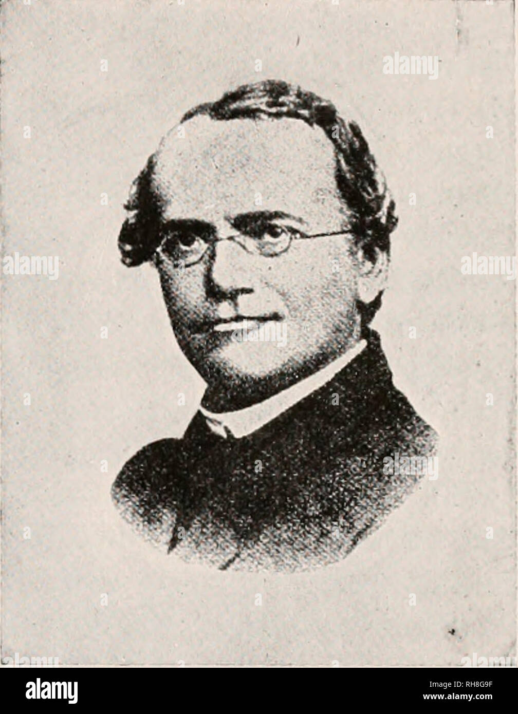 Mendel's laws hi-res stock photography and images - Alamy