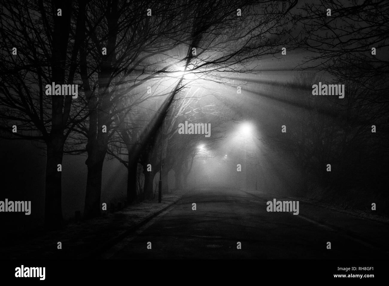 Pre dawn light rays at Colwick Park in Nottingham, Nottinghamshire ...