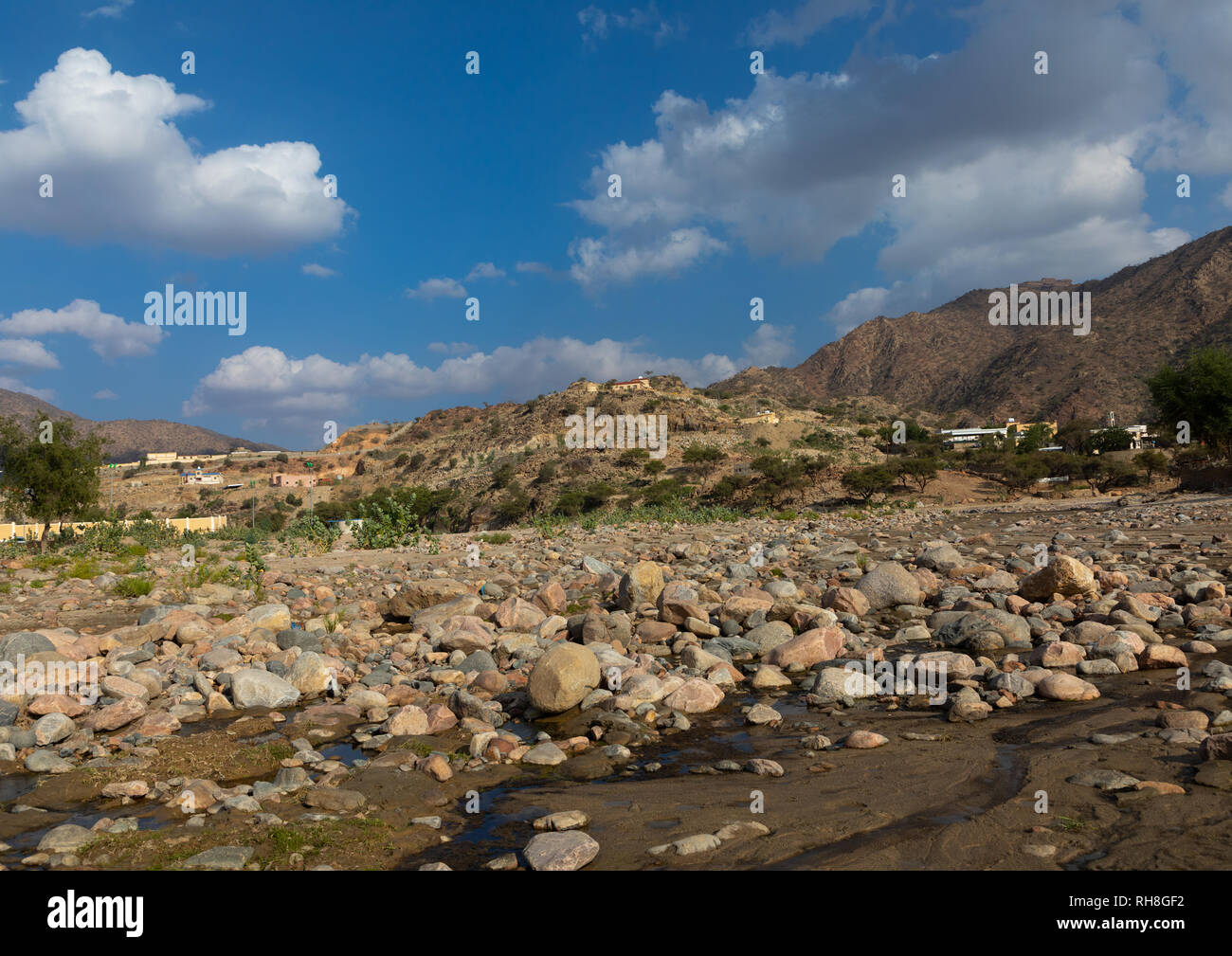 Saudi181114 hi-res stock photography and images - Alamy