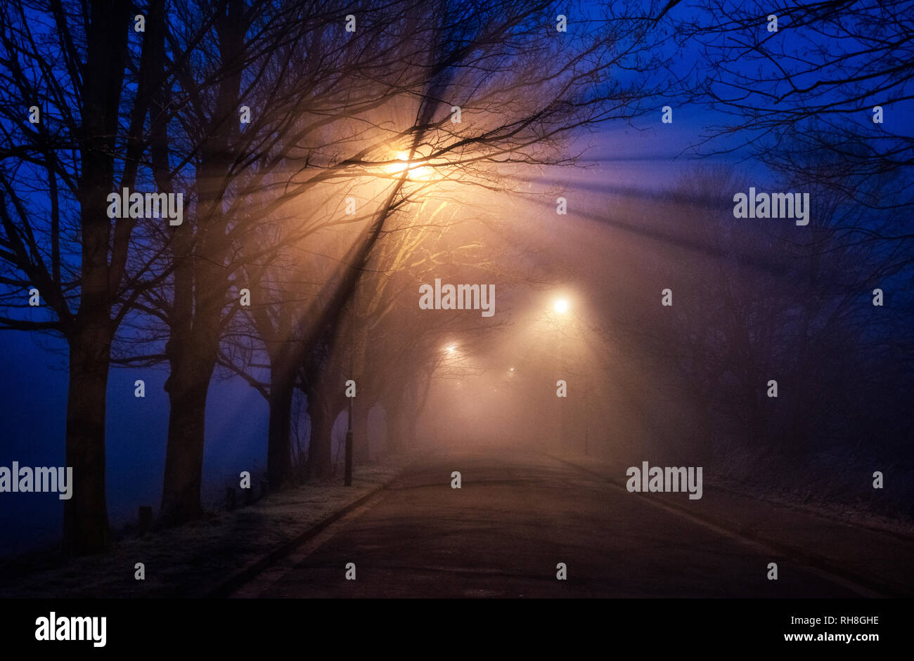 Pre dawn light rays at Colwick Park in Nottingham, Nottinghamshire ...
