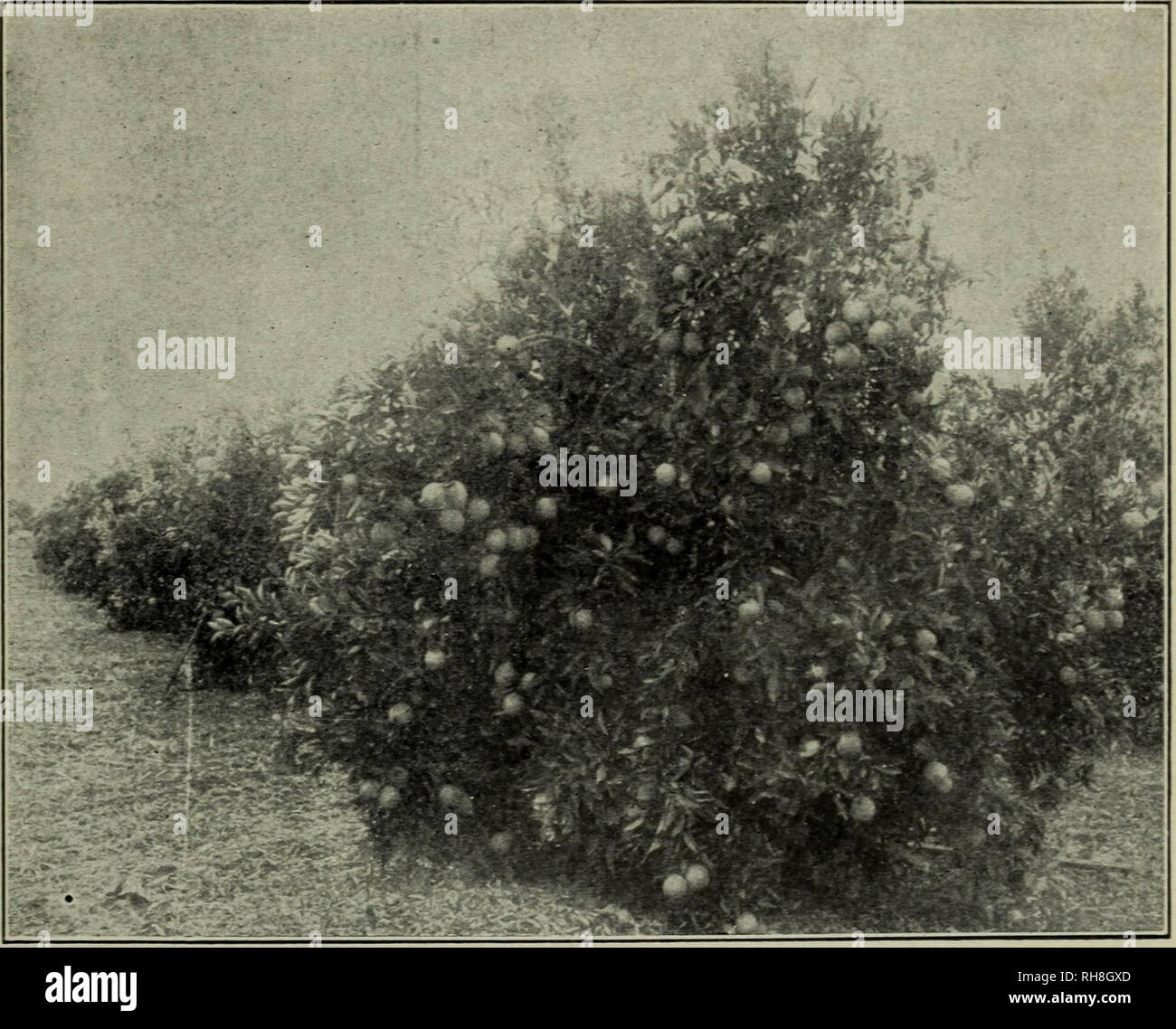 J nava hi-res stock photography and images - Alamy