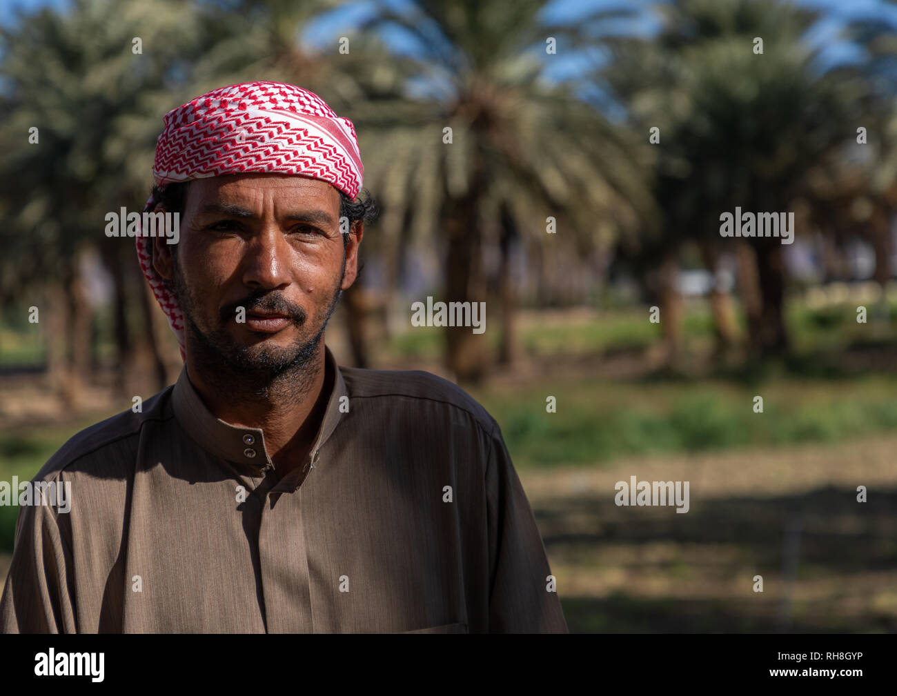 Portrait of a saudi farmer, Najran Province, Najran, Saudi Arabia Stock ...