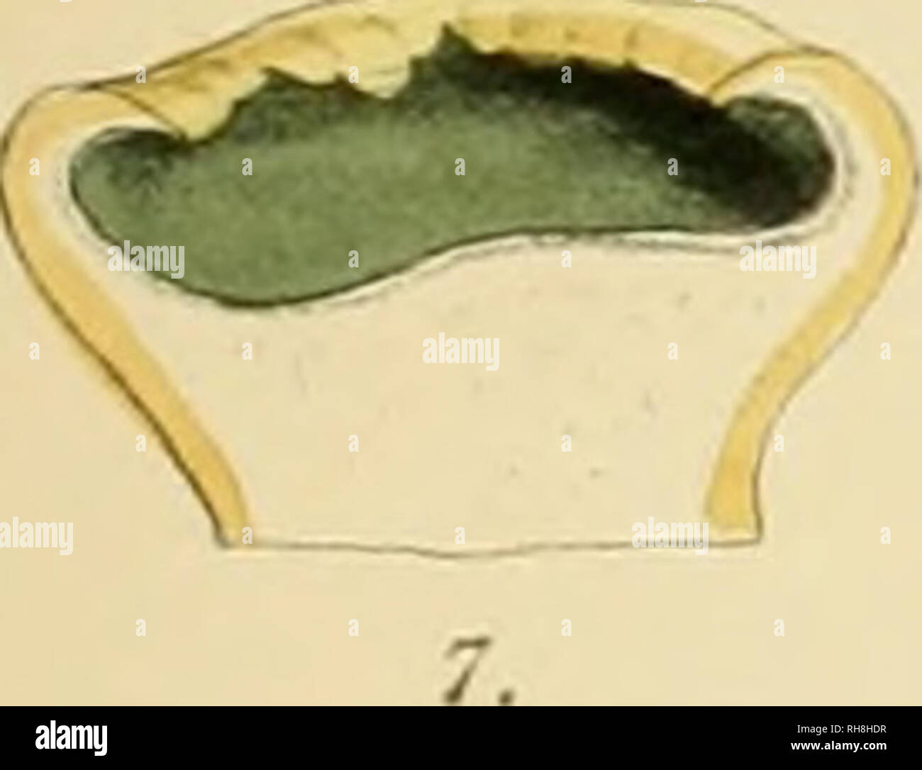 Terror erebus ship hi-res stock photography and images - Alamy