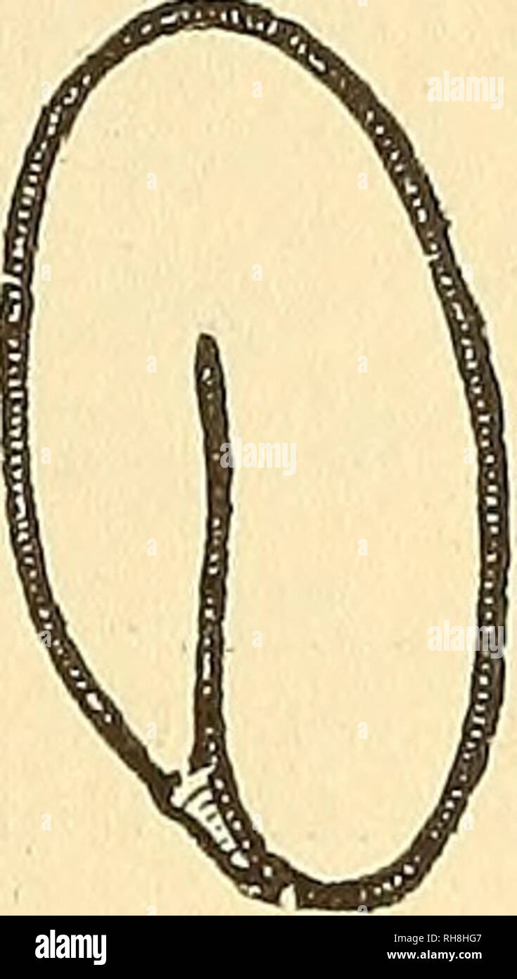 Corm house hi-res stock photography and images - Alamy