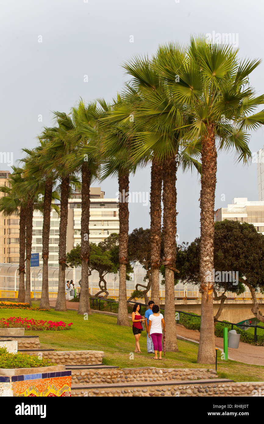 Palm trees in Love park at Lima,Peru Stock Photo - Alamy