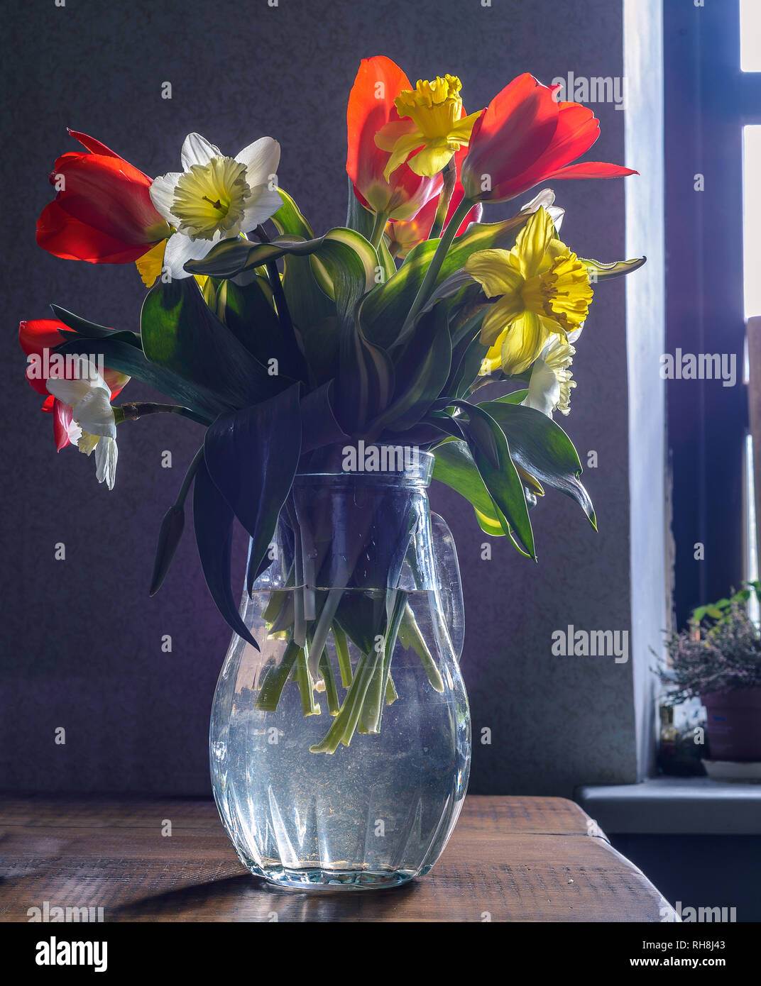 Spring still life with vase hi-res stock photography and images - Alamy