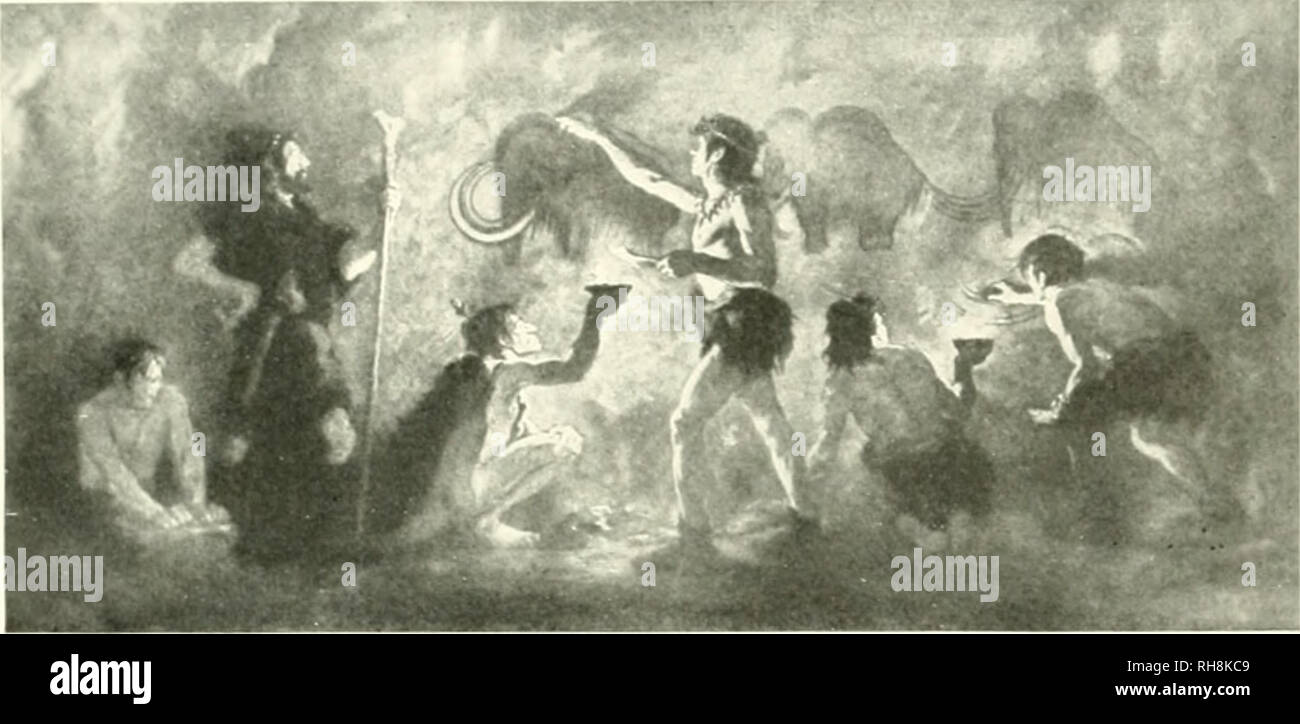 . The brain from ape to man; a contribution to the study of the ...