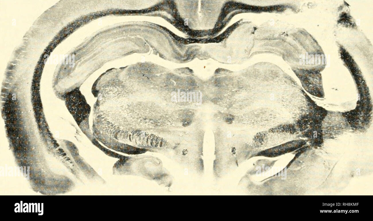 . Brain mechanisms and learning, a symposium. Psychophysiology ...