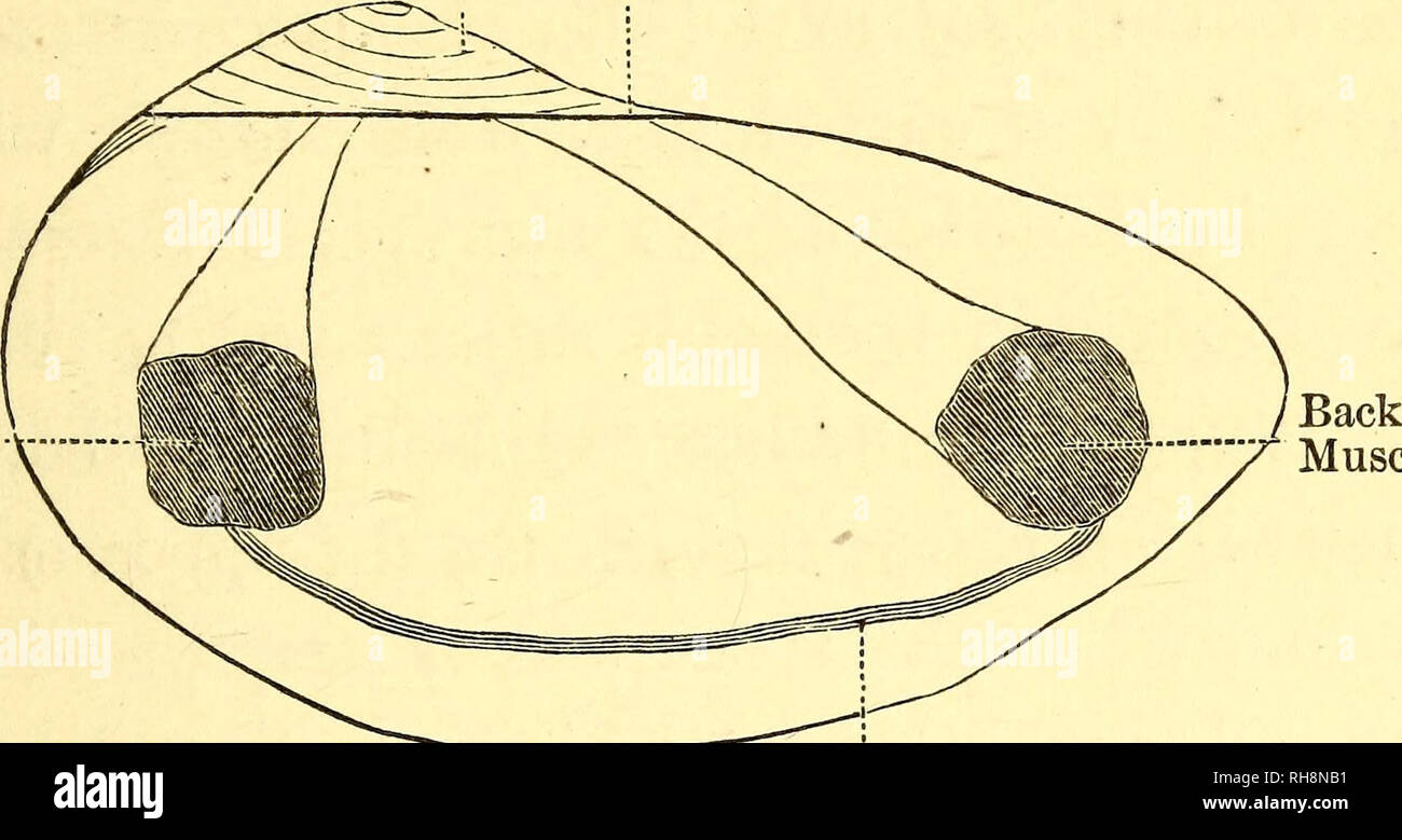 Two girls two boys band hi-res stock photography and images - Alamy