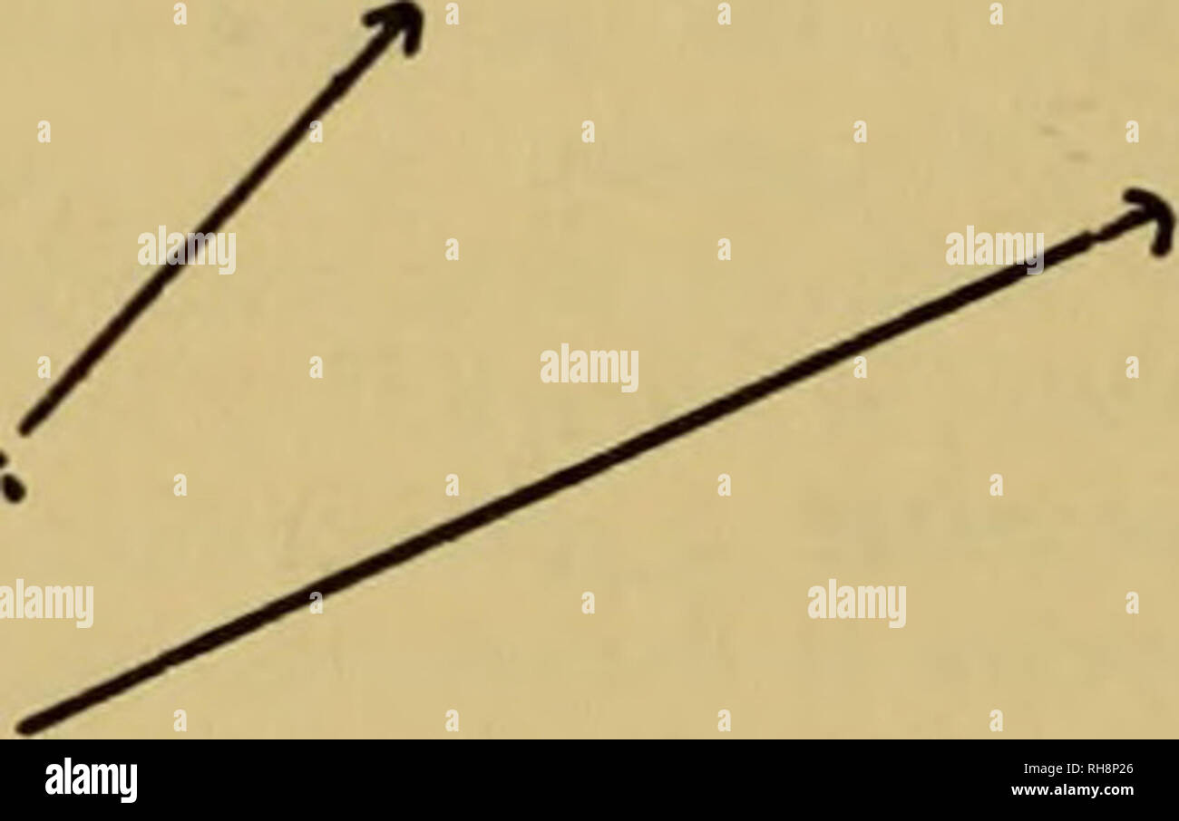 Tripartite division hi-res stock photography and images - Alamy