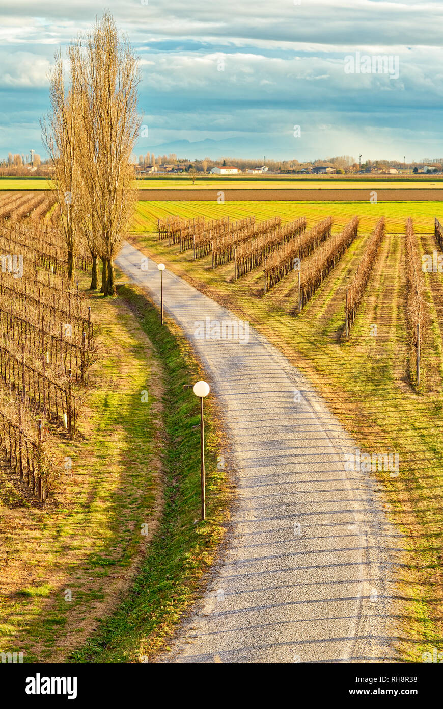 bending road in Italian countryside Stock Photo - Alamy