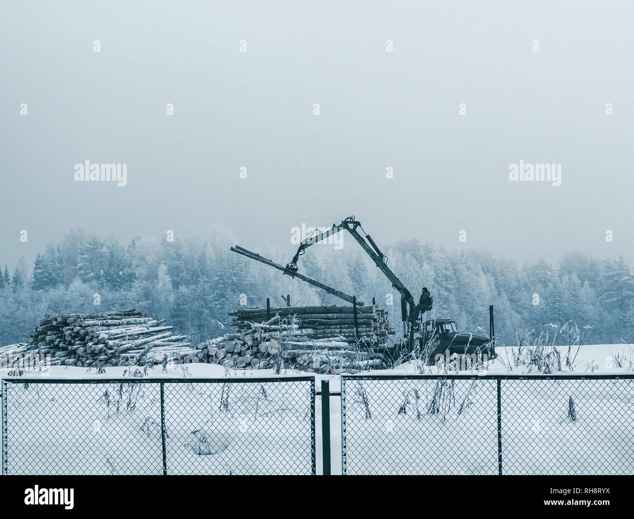 Timber carrier loads logs in the north of Russia Stock Photo - Alamy