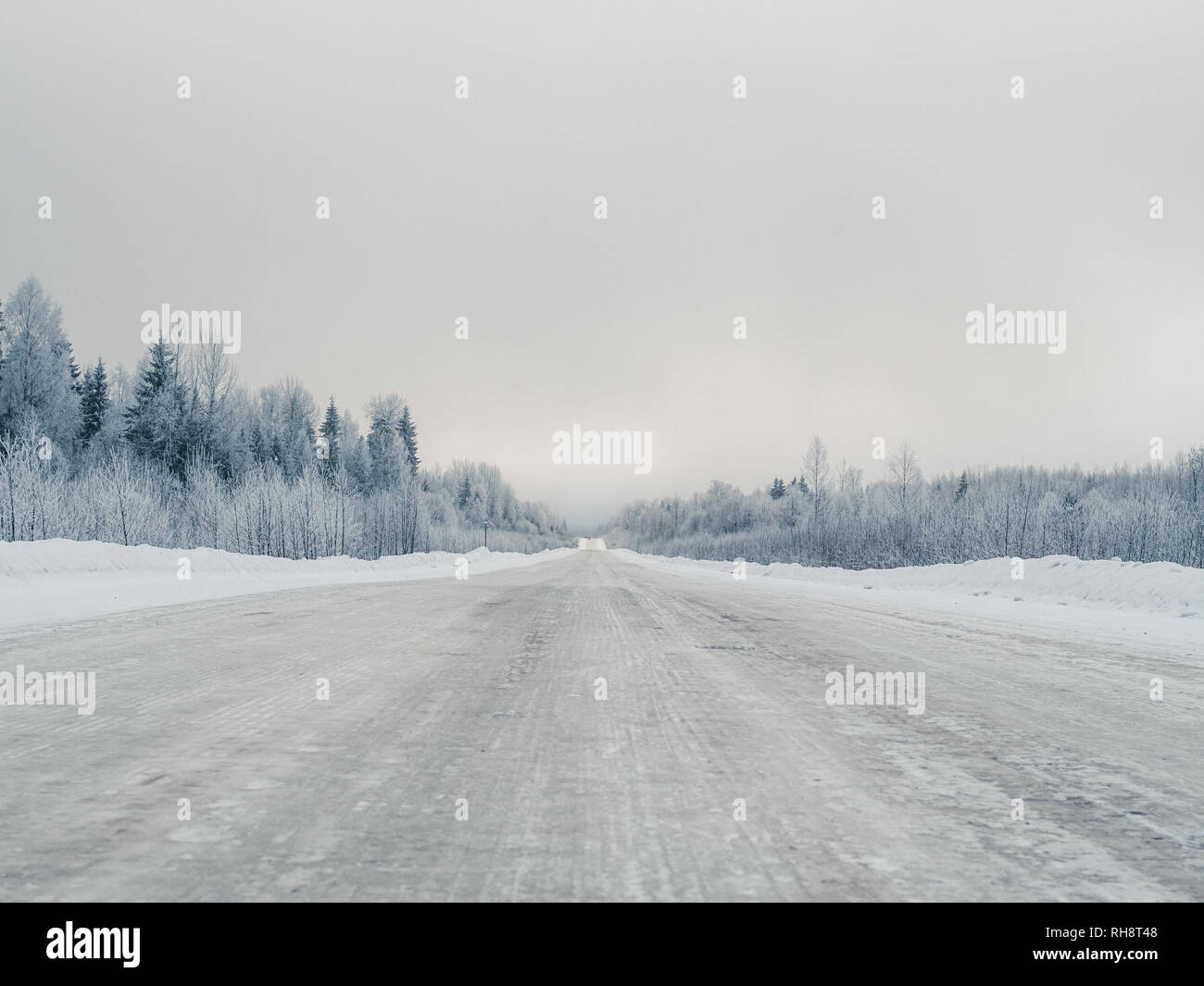 Winter road through the wild forest Stock Photo - Alamy