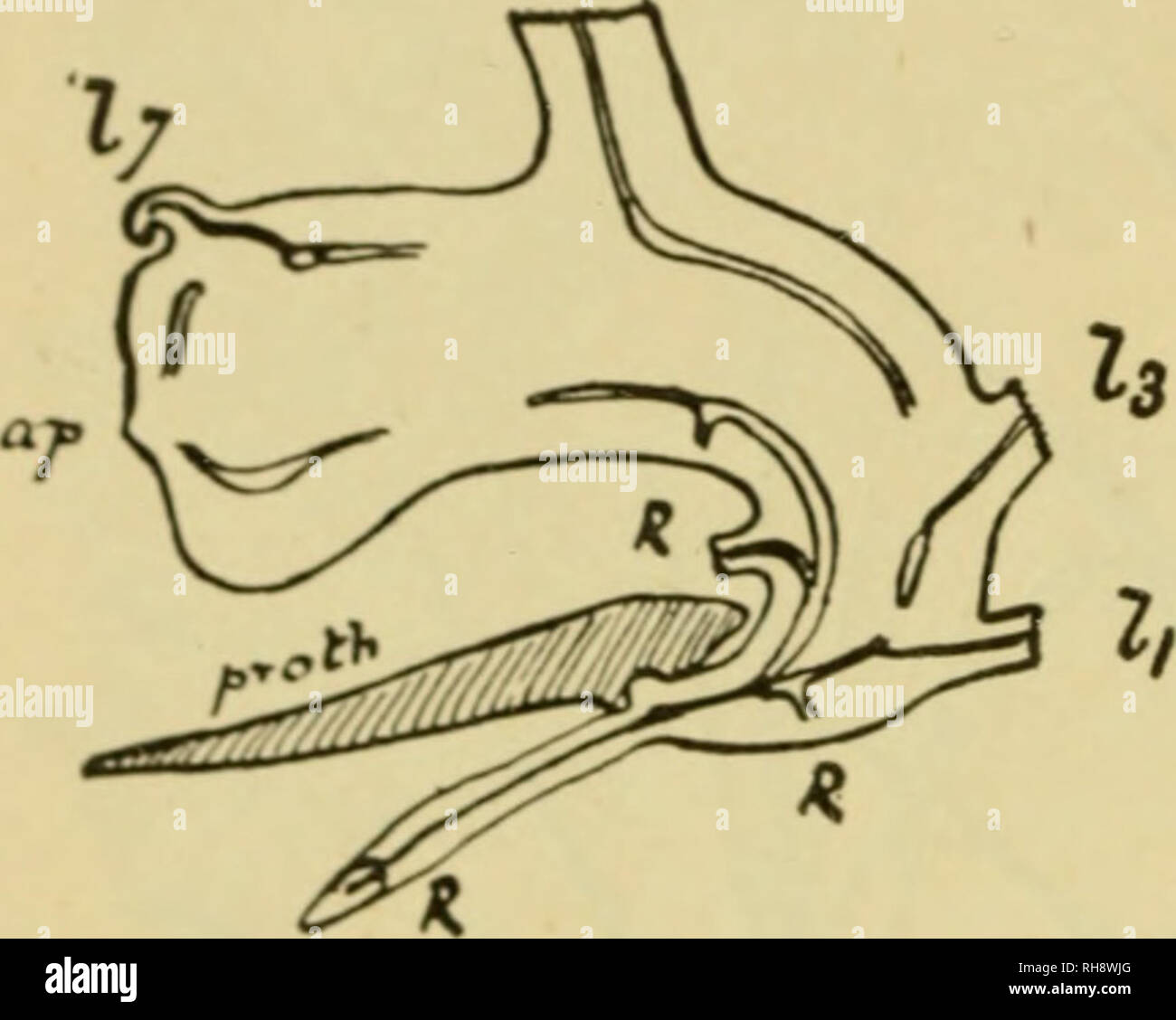 Radially System High Resolution Stock Photography and Images - Alamy