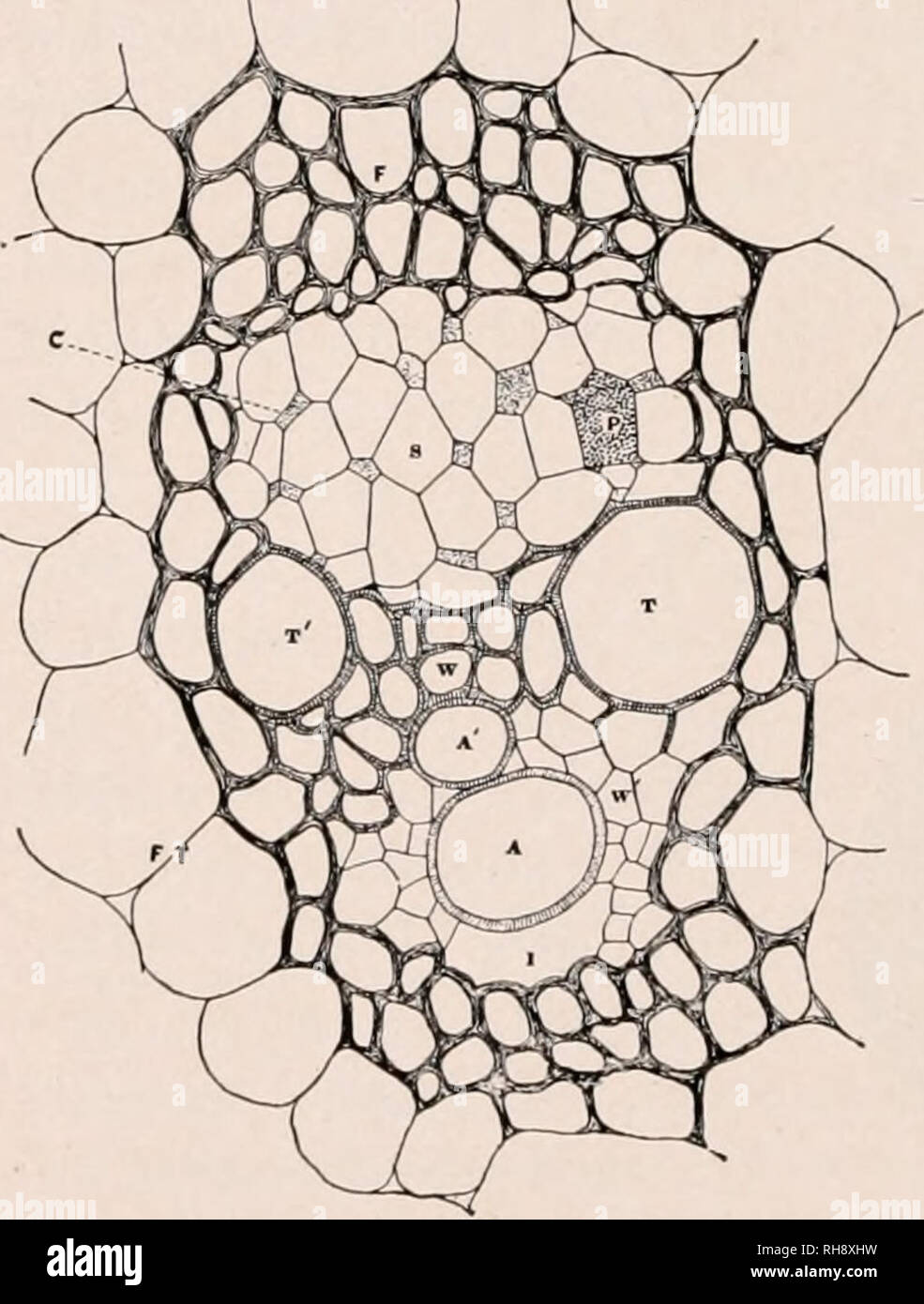 Ous circle hi-res stock photography and images - Alamy