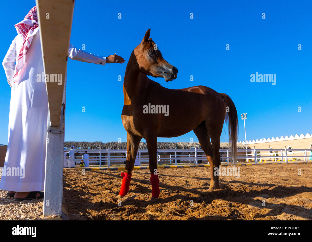 Saudi arabian man hi-res stock photography and images - Alamy