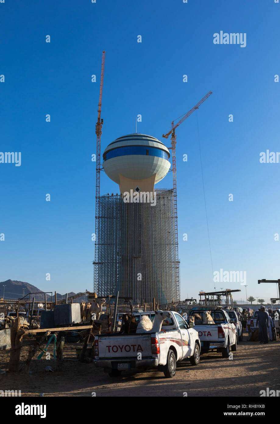 Camel market at the bottom of the water tower, Najran Province, Najran ...