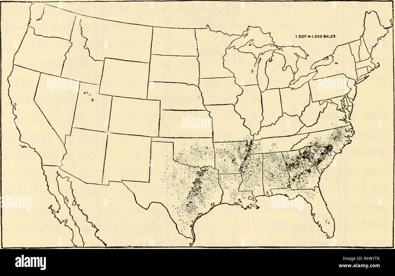 Guncotton Stock Photos & Guncotton Stock Images - Alamy