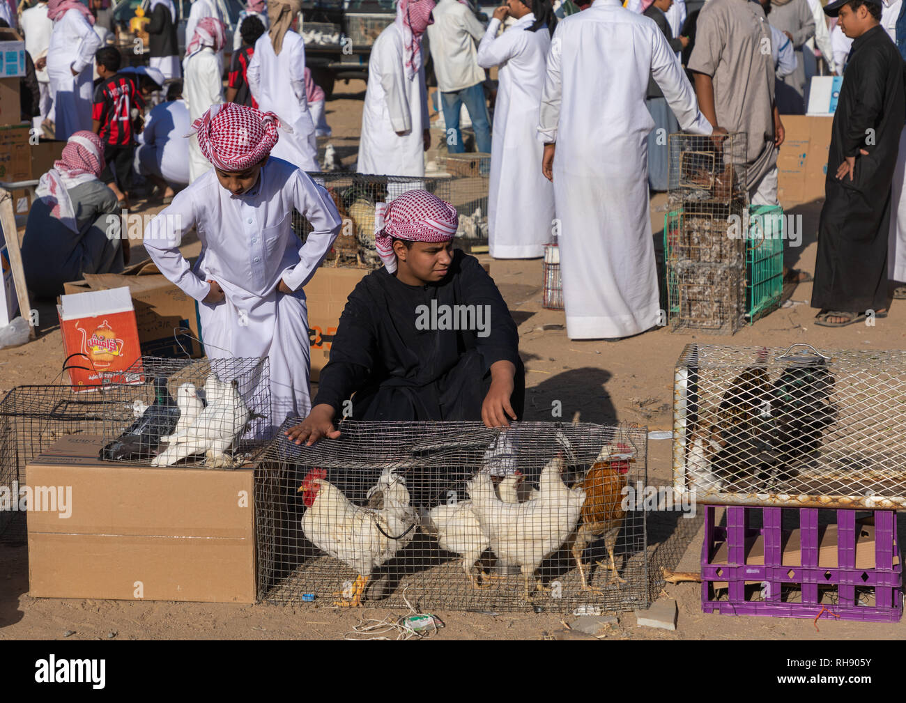 Saudi181347 hi-res stock photography and images - Alamy