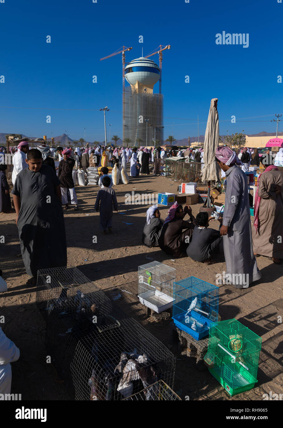 Saudi people in the bird and poultry market, Najran Province, Najran ...