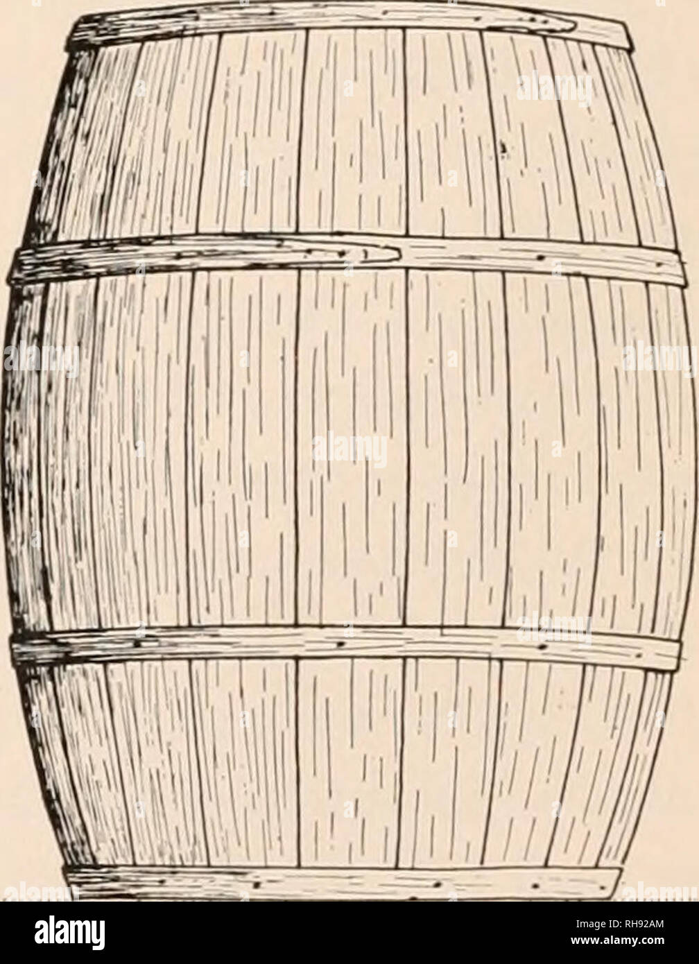 . Botany; principles and problems. Botany. Fig. 39.—The water ...
