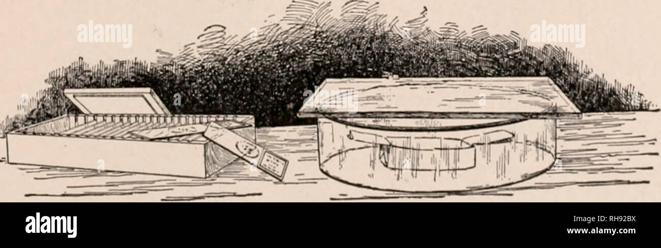 Skin moulding hi-res stock photography and images - Alamy