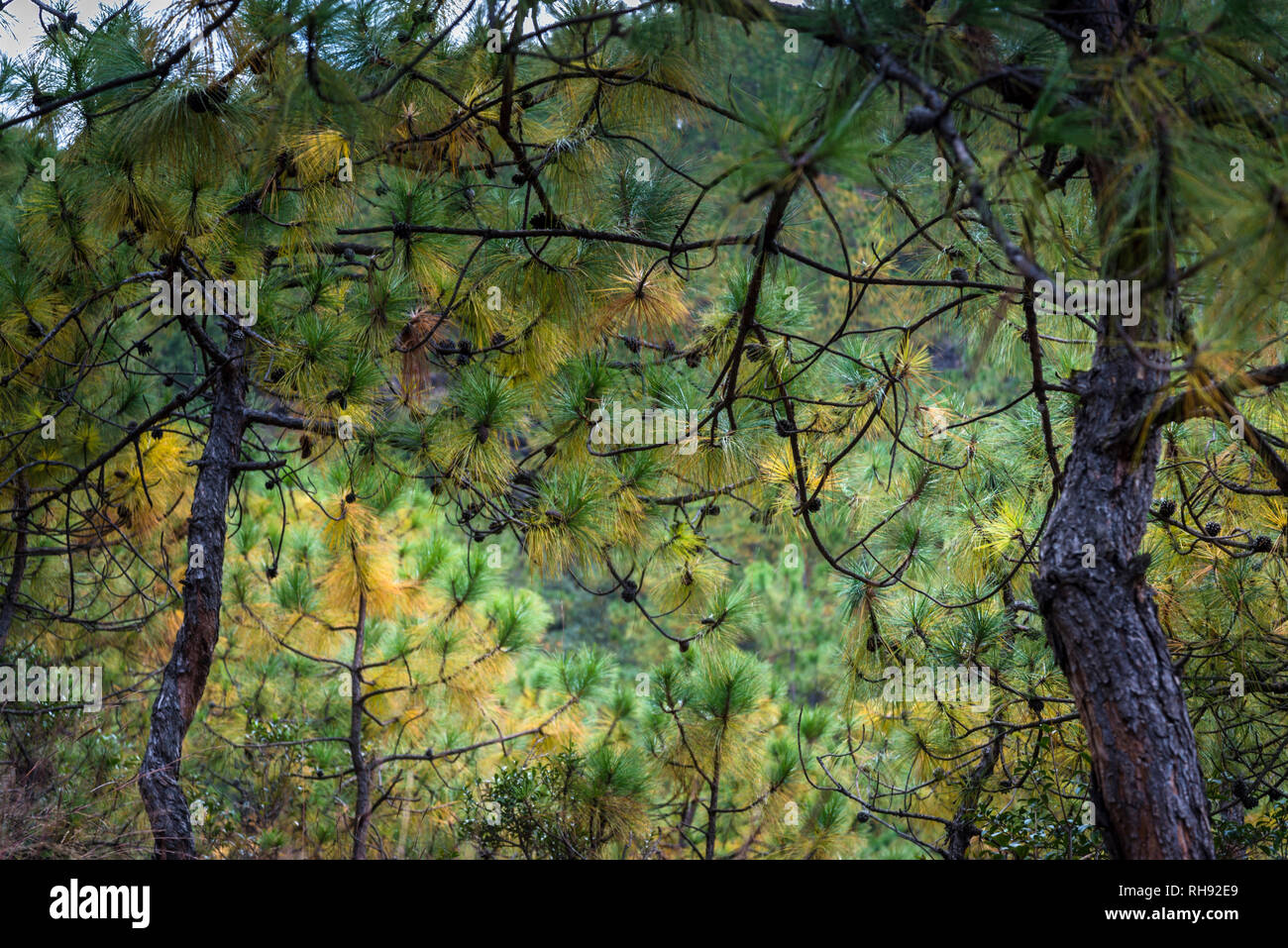 Shibao mountain shibaoshan hi-res stock photography and images - Alamy