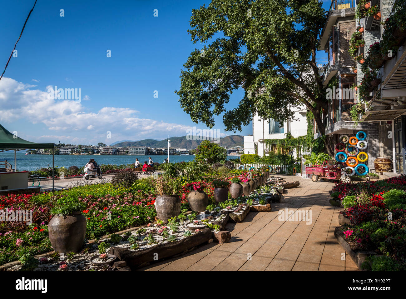Promenade along Erhai Lake, Shuanglang town, Dali, Yunnan province ...