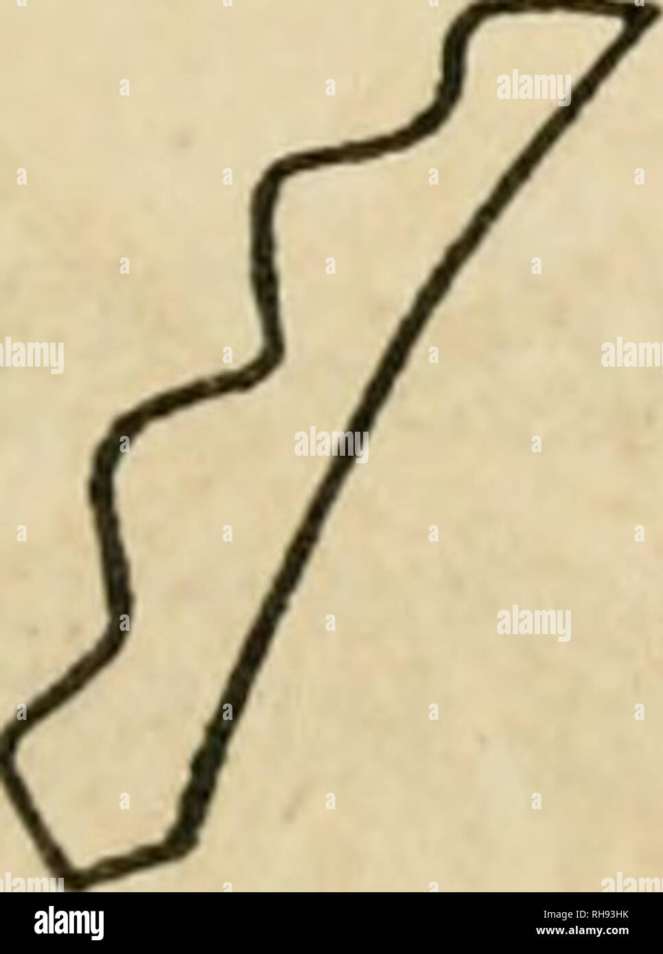 . Botany of the southern states. In two parts. Part I. Structural and ...