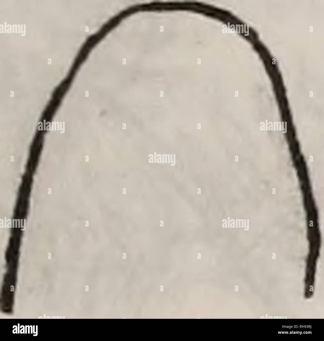 . Botany of the southern states. In two parts. Botany. Pectinate leaf ...