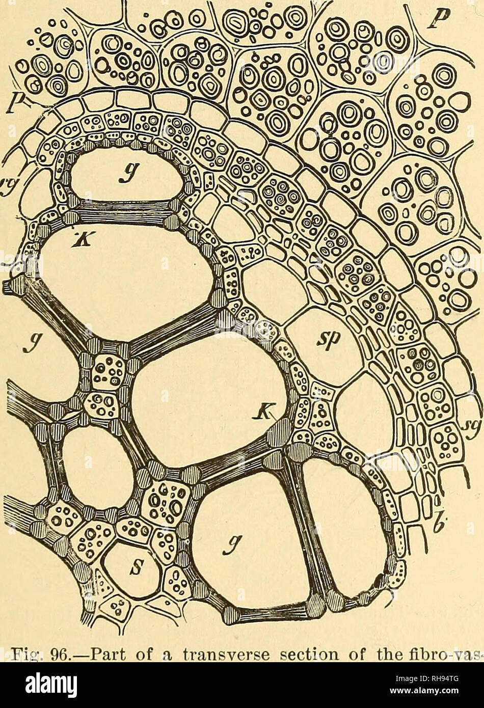 Sieve system hi-res stock photography and images - Alamy