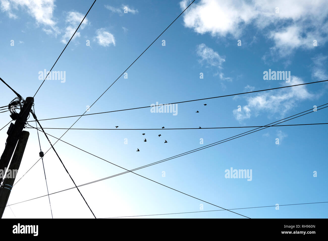 A mass of overhead telephone and electricity wires on a utility pole ...