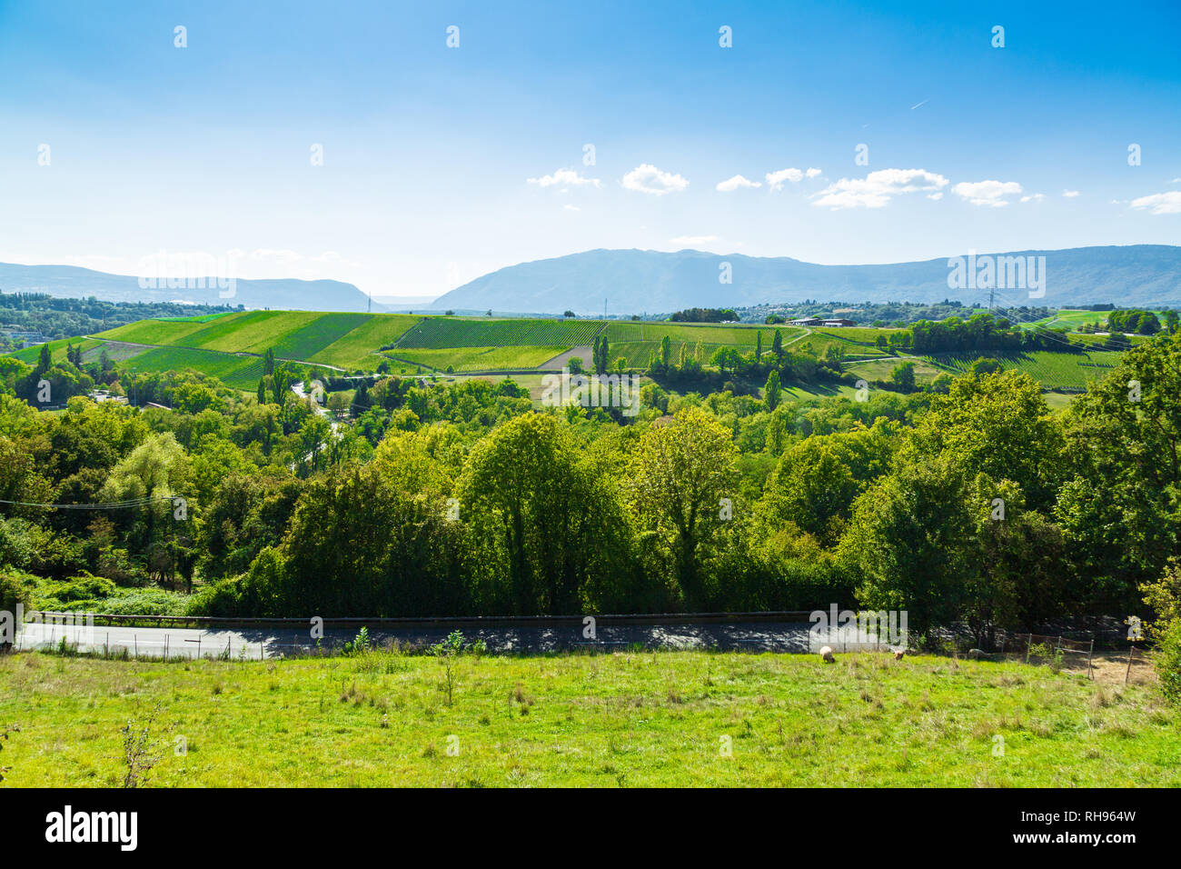 Switzerland agriculture hi-res stock photography and images - Alamy