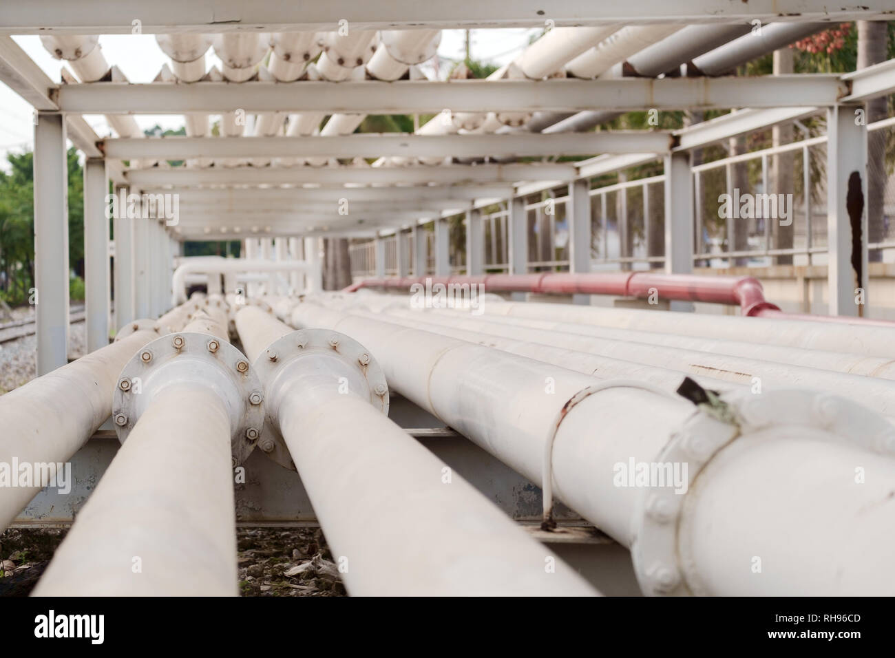 Long hose pipe hi-res stock photography and images - Alamy
