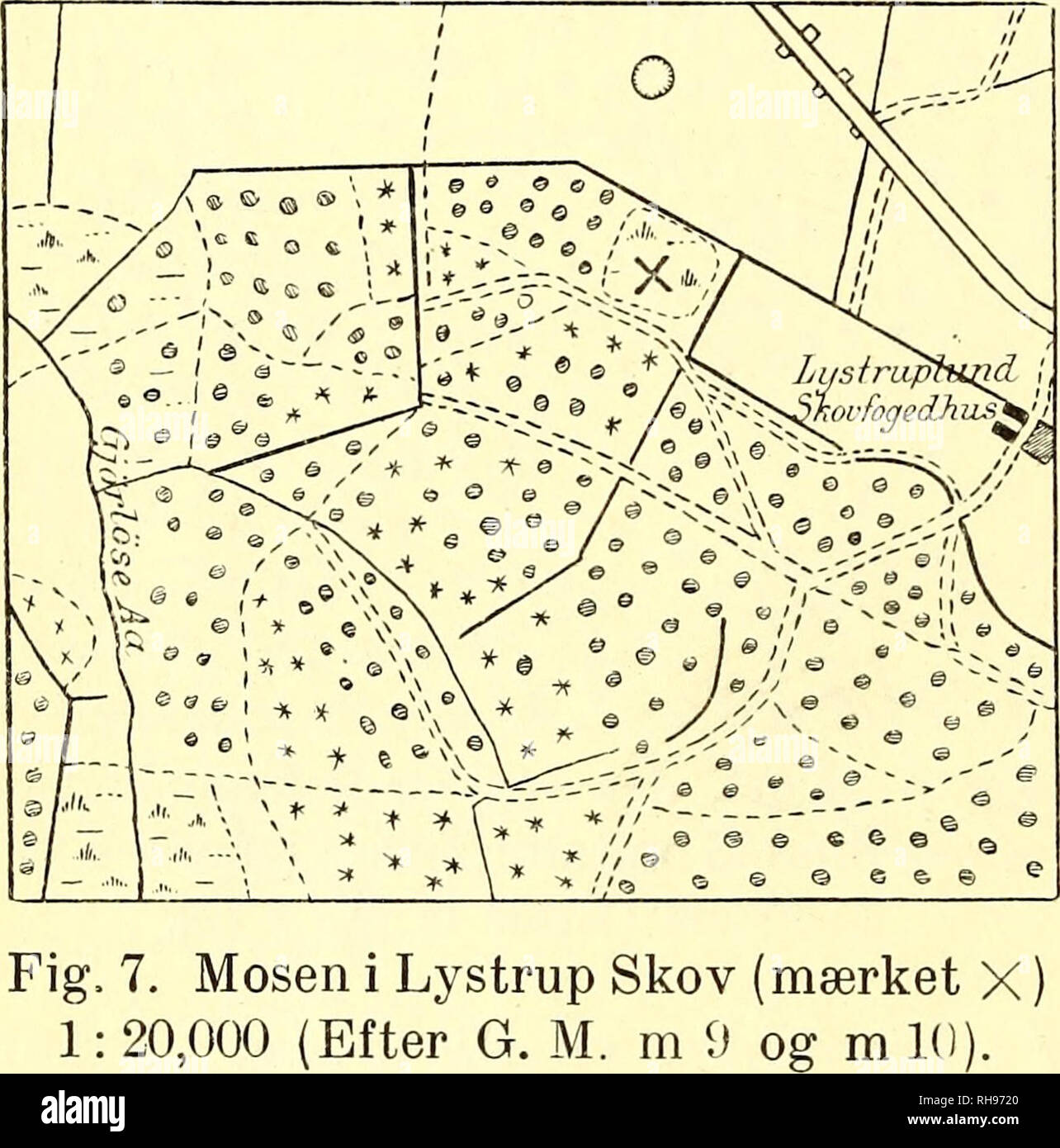 . Botanisk tidsskrift. Botany; Plants; Plants. — 24 — øst for Mose a ...