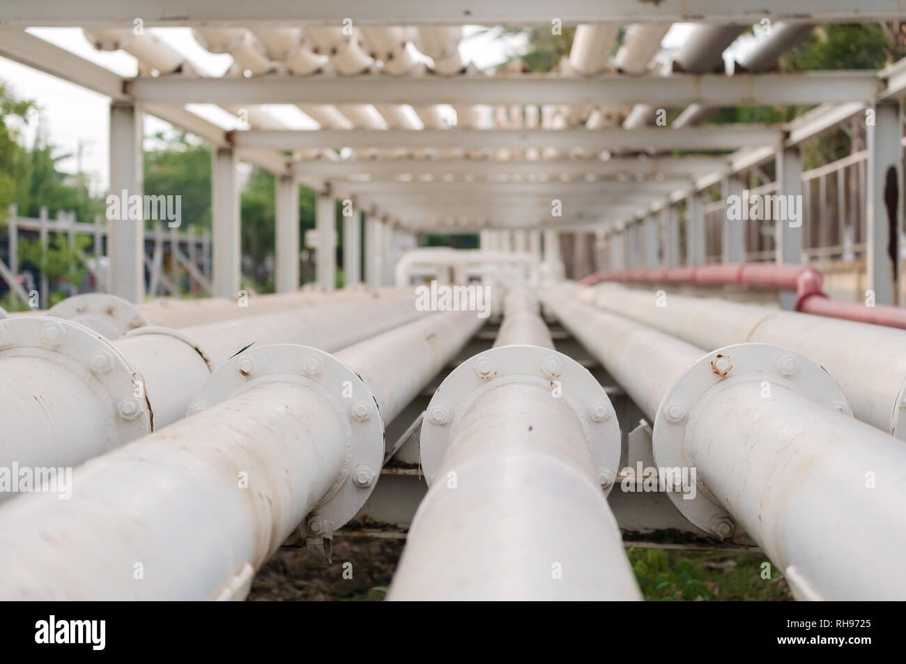 Long hose pipe hi-res stock photography and images - Alamy