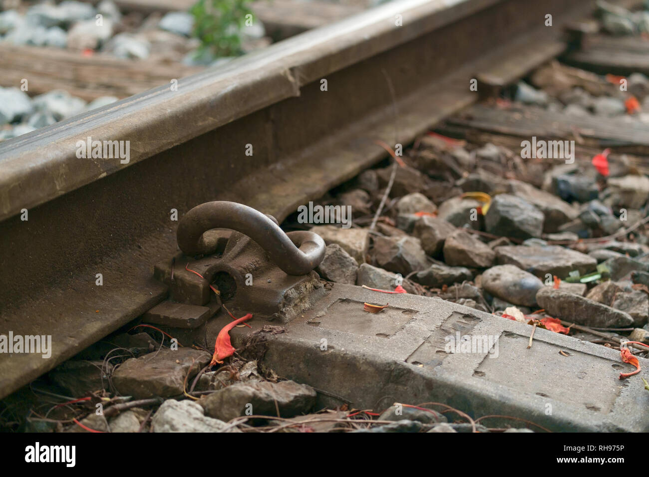 Rail spike hi-res stock photography and images - Alamy