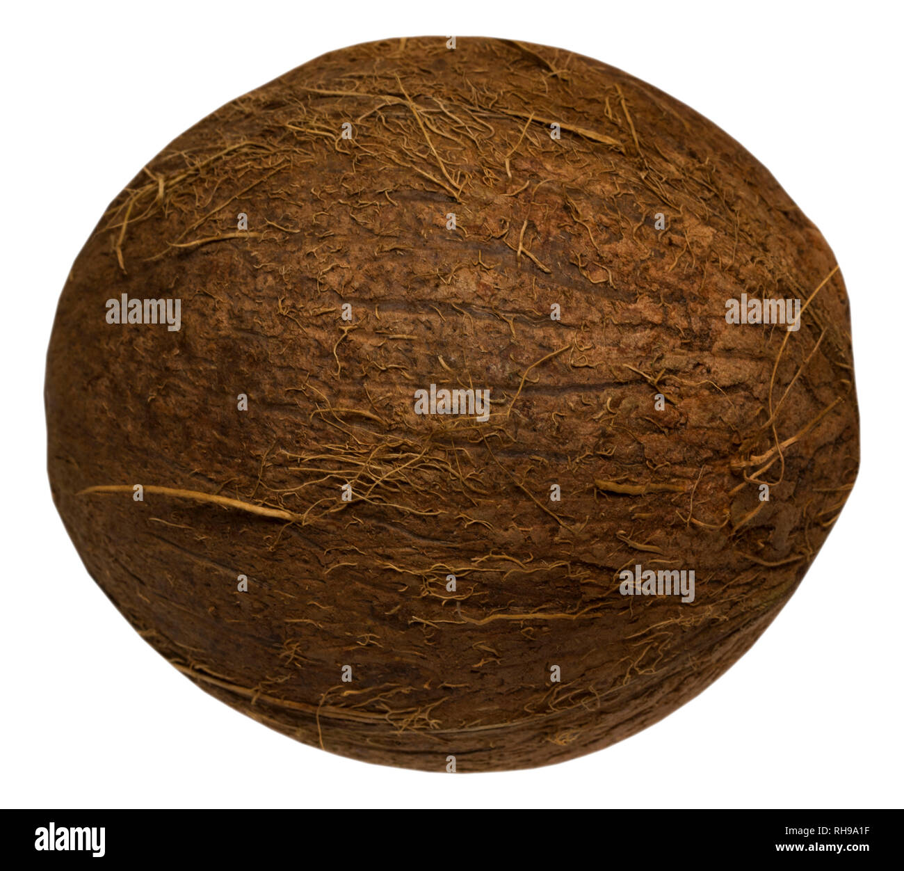 Chesnut shell hi-res stock photography and images - Alamy