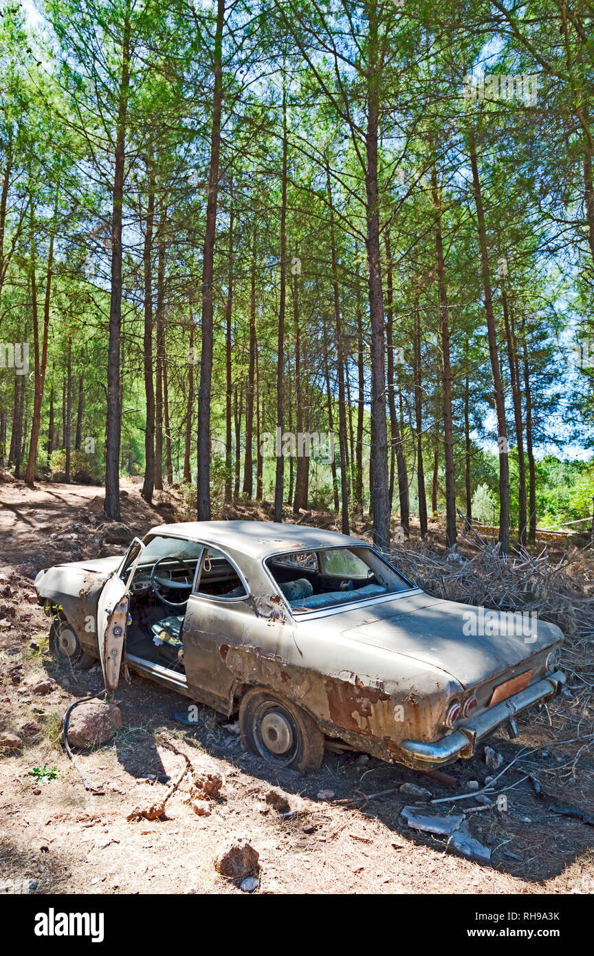 Photo of Abandoned Car in Forest Stock Photo - Alamy