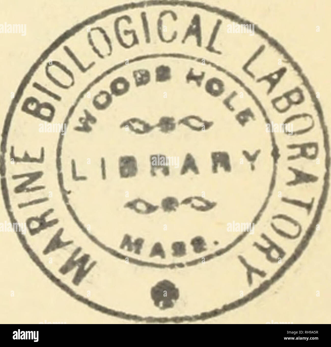 Alex stapley hi-res stock photography and images - Alamy