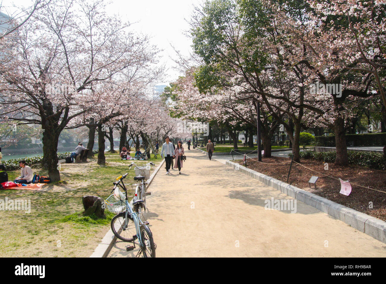 Walking in spring Stock Photo - Alamy