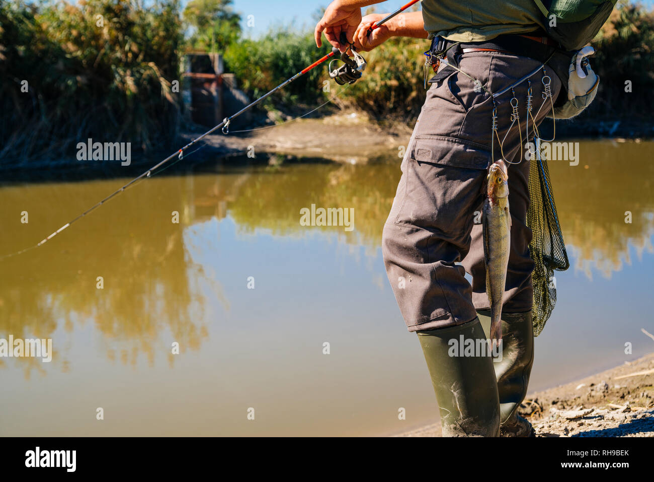 Perch Fish Hook Mouth High Resolution Stock Photography and Images - Alamy