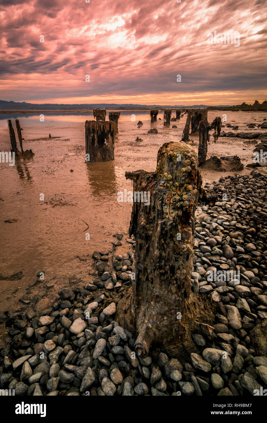 Sunset shot over old pier posts which once held the old wharf over ...
