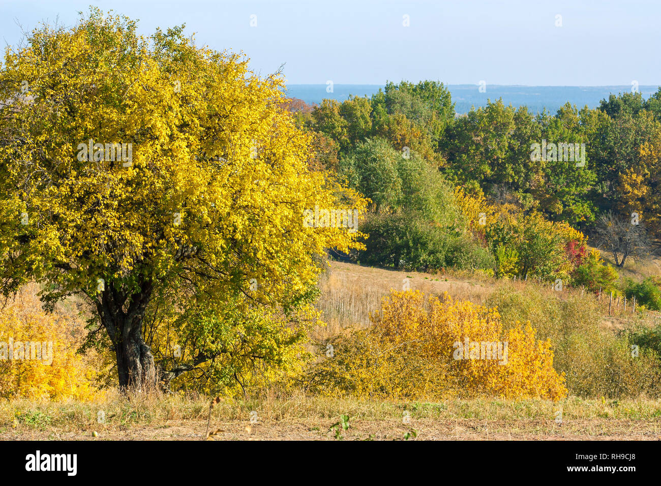 Garden gully hi-res stock photography and images - Alamy