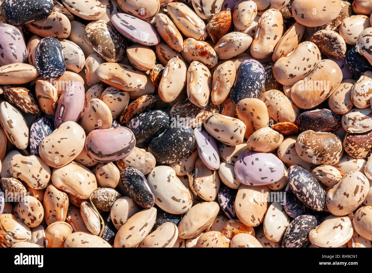 Kidney beans as background or texture and pattern Stock Photo - Alamy