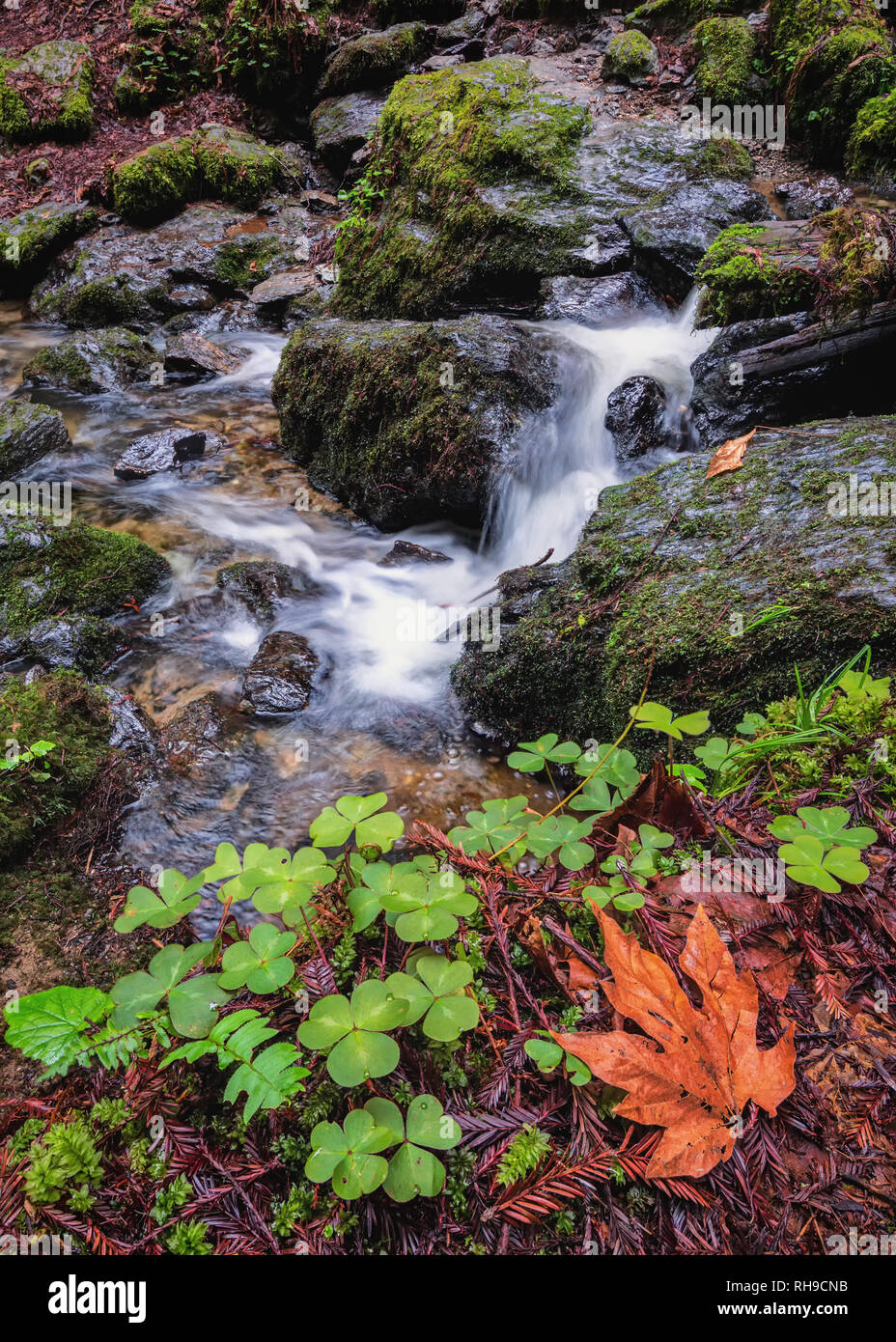 A waterfall in the mountains of Northern California. Color image, day ...