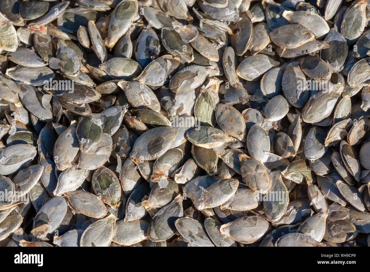Pumpkin gymnospermous seeds as background or texture and pattern Stock ...